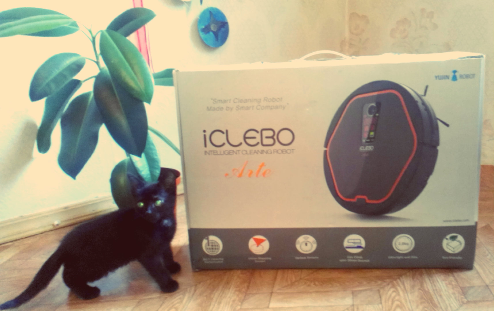 Пылесос iClebo Arte — самостоятельный робот-уборщик — Лайфхакер