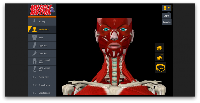 Muscle&Motion — приложение, которое заменит фитнес-тренера — Лайфхакер