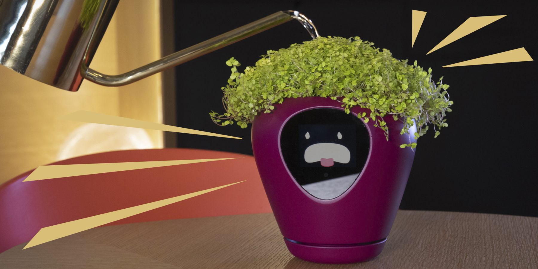 8 технологичных новинок для дома, которые сделают жизнь проще — Лайфхакер