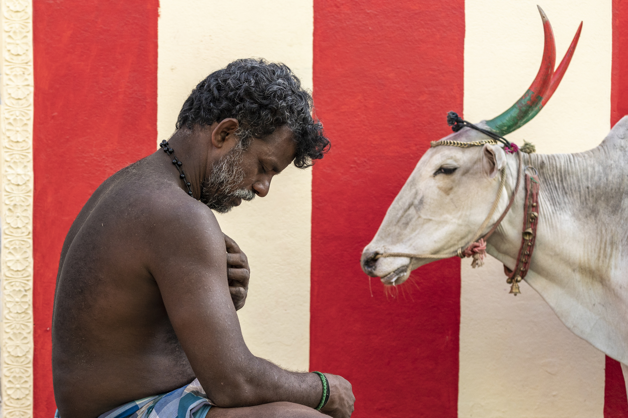 10 потрясающих фотографий с конкурса Sony Alpha Awards 2020 — Лайфхакер