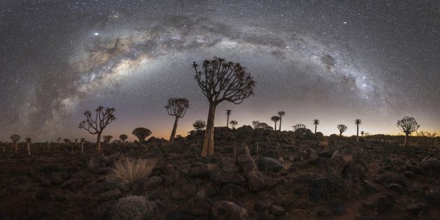 12 панорам с фотоконкурса 2020 Epson Pano Awards — Лайфхакер