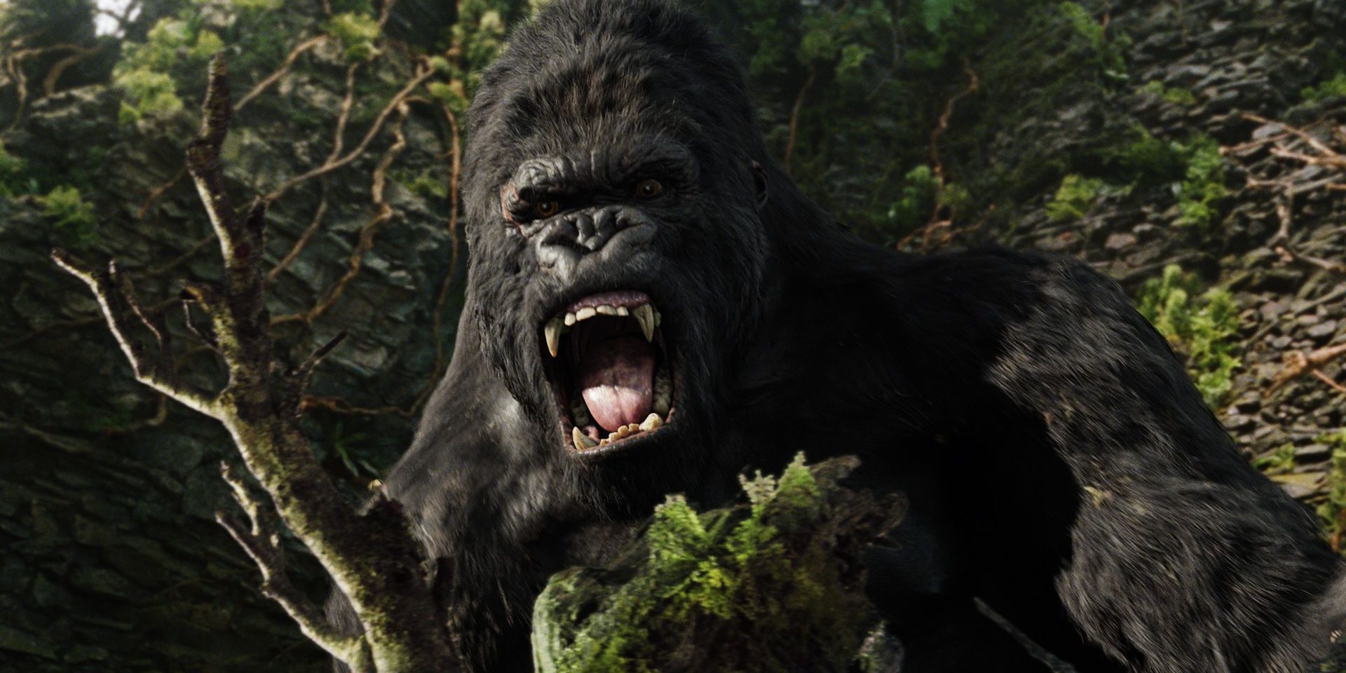 15 фильмов про джунгли для тех, кто мечтает о путешествии — Лайфхакер