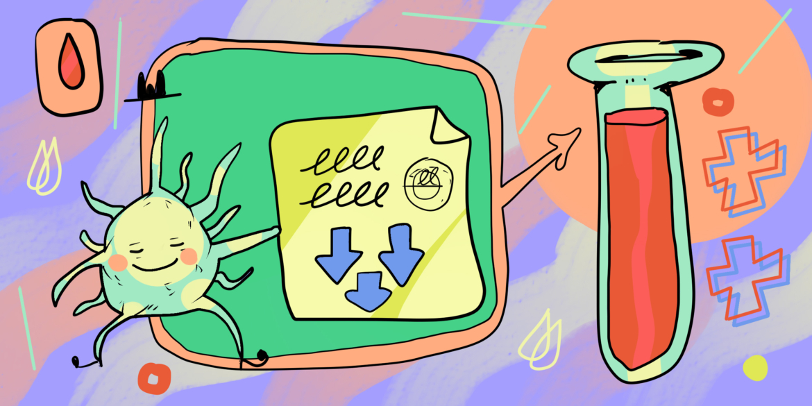 Почему повышены тромбоциты и что с этим делать — Лайфхакер