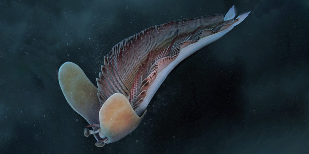 Палеонтологи нашли окаменелости членистоногого с 220 конечностями ...