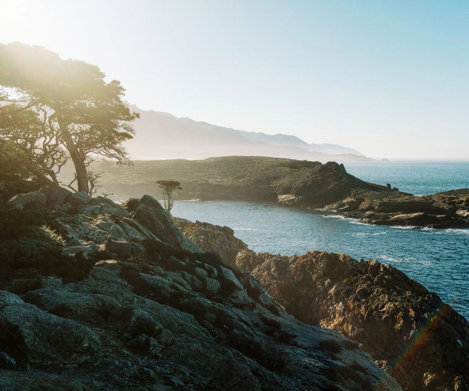 Google выпустила 12 новых обоев для Pixel. Их уже можно скачать на ...