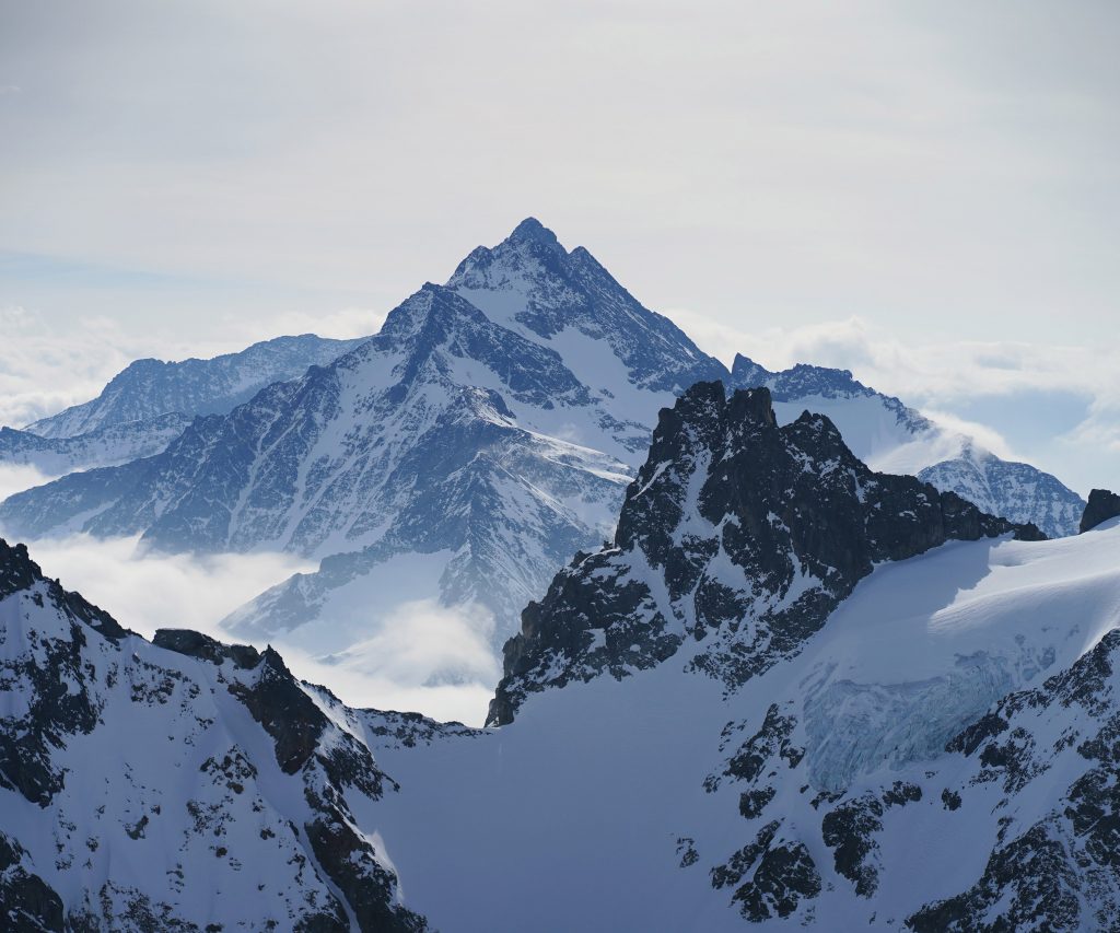 Google выпустила 12 новых обоев для Pixel. Их уже можно скачать на ...