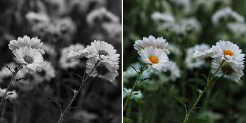 8 инструментов для обработки фото нейросетью онлайн и офлайн — Лайфхакер