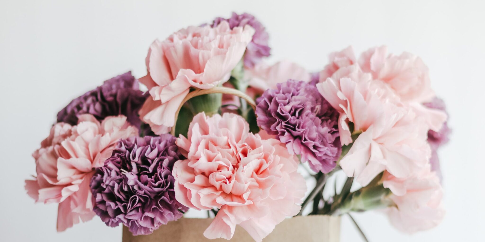 Что делать, чтобы розы и другие цветы стояли дольше — Лайфхакер