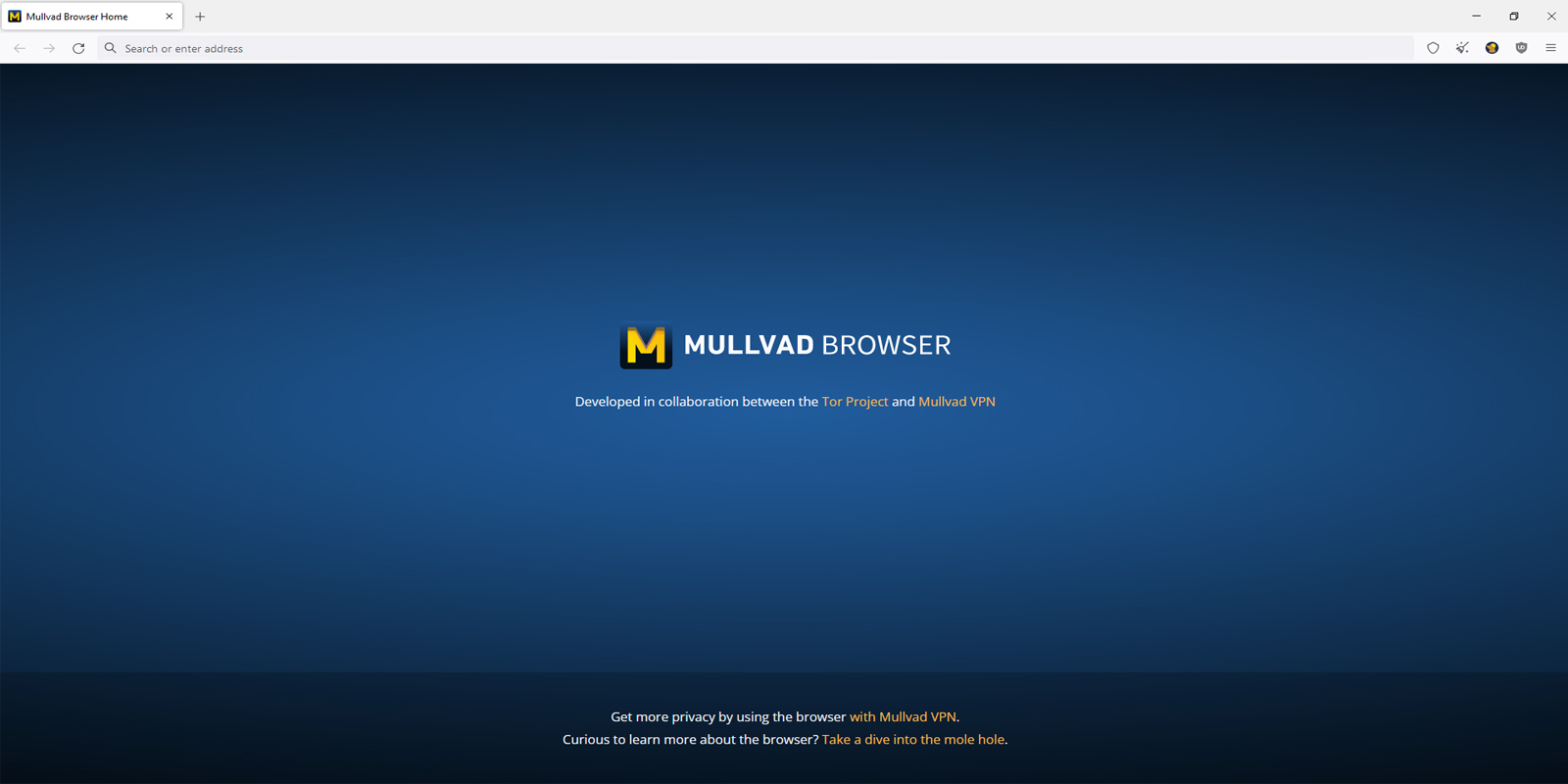 Mullvad Browser — повышенная защита конфиденциальности в Сети - Лайфхакер