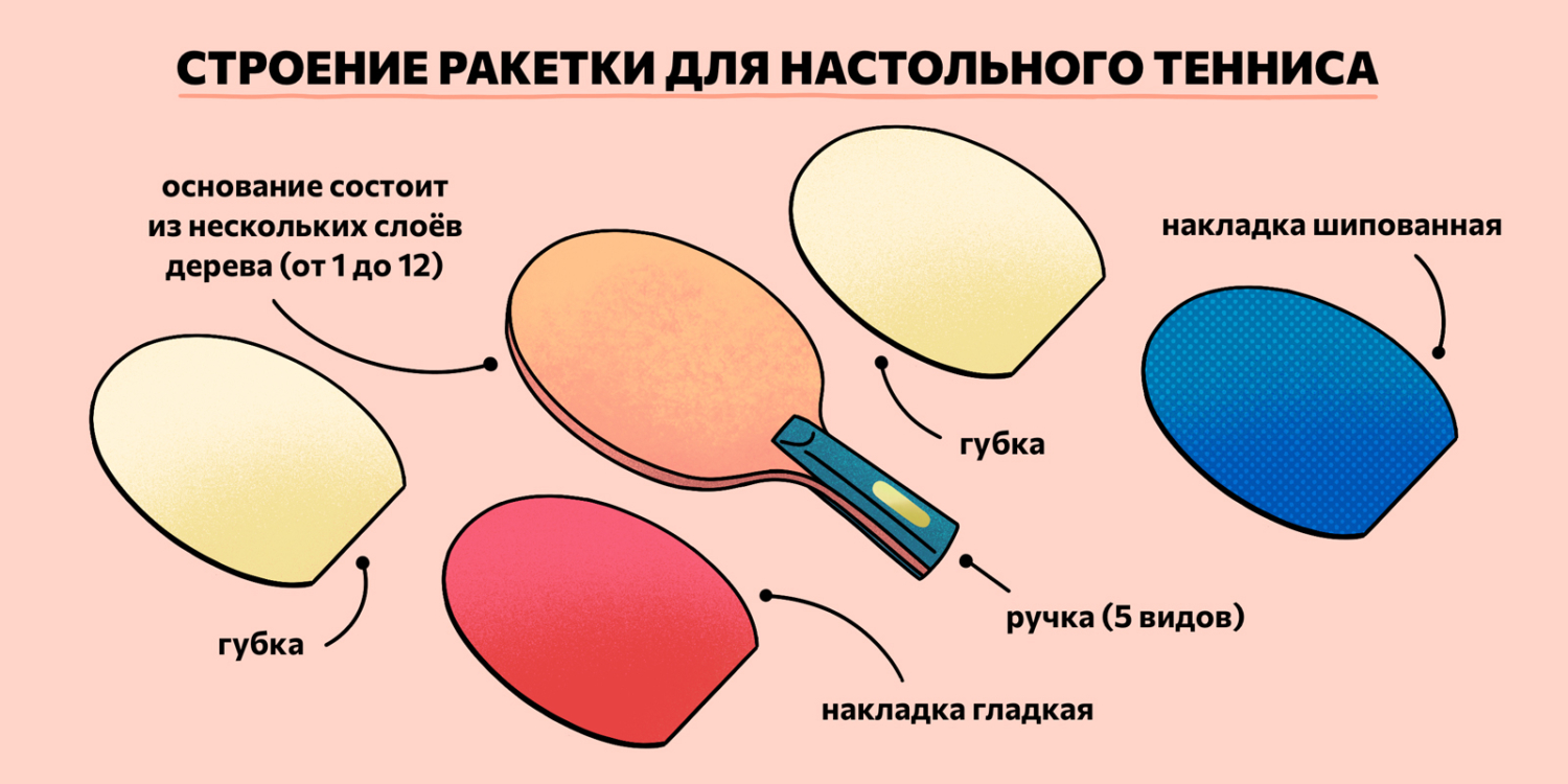 Как играть в настольный теннис: правила, советы для новичков — Лайфхакер